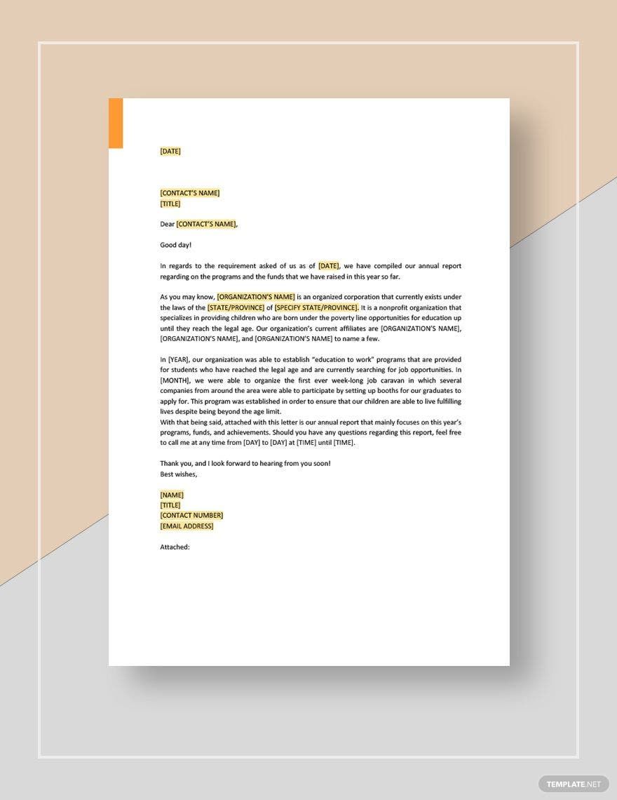 Free NGO Annual Report Template Google Docs Word Apple Pages Template