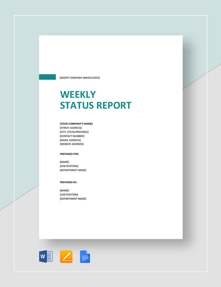 45+ Sample Weekly Report Templates - Word, PDF