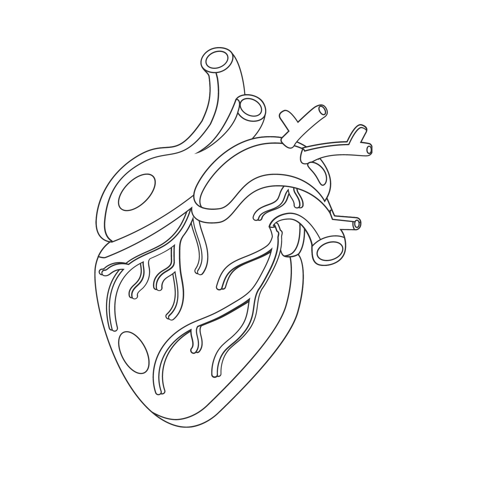 Heart Real Clipart