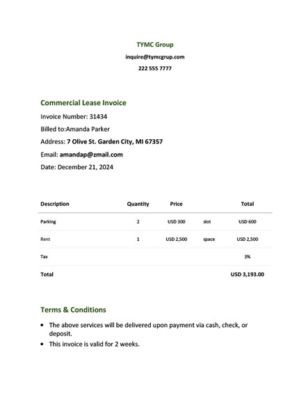 Editable Commercial Sales Invoice Template - Google Docs, Excel, Word ...