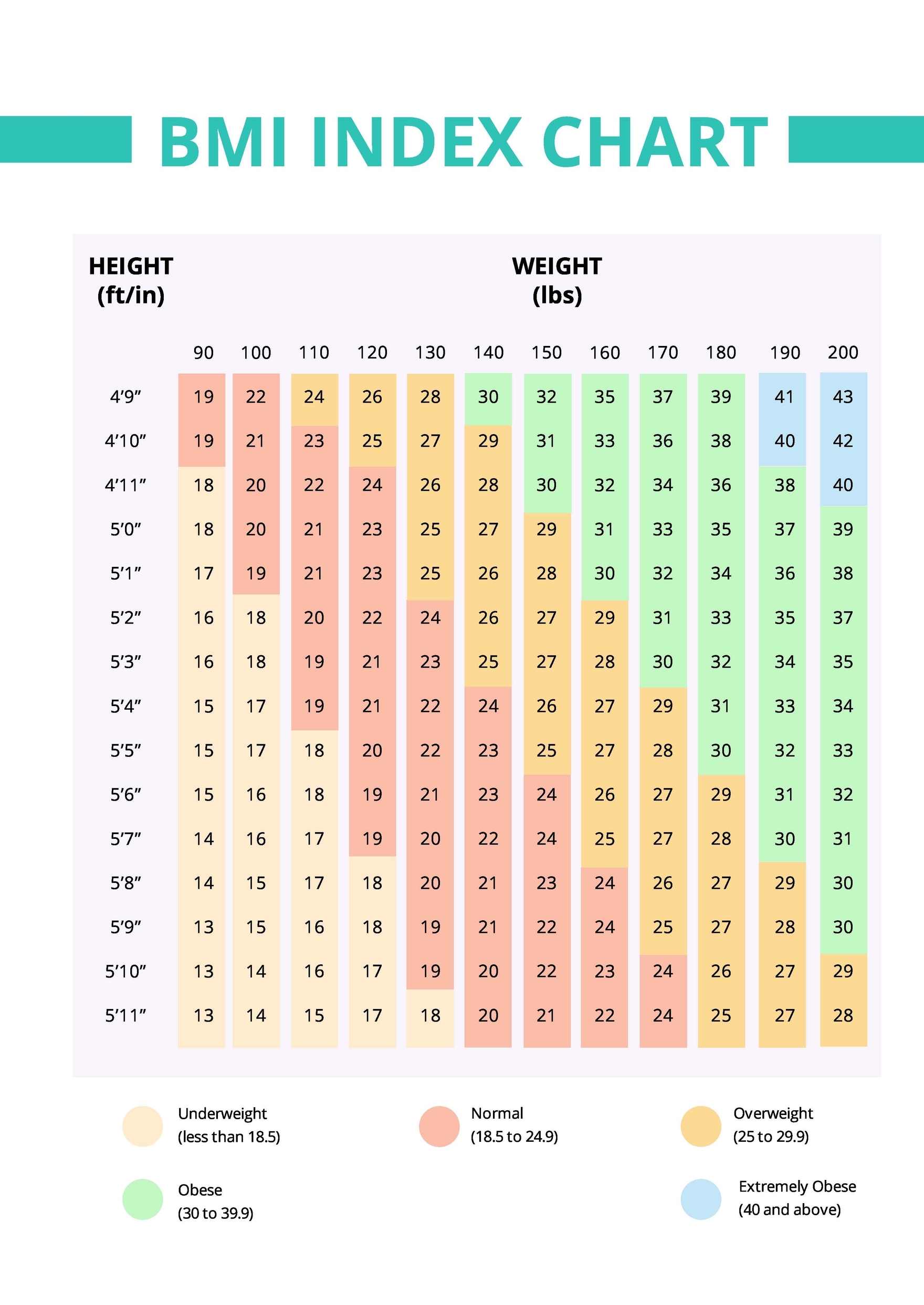BMI Index Chart In PDF Download Template