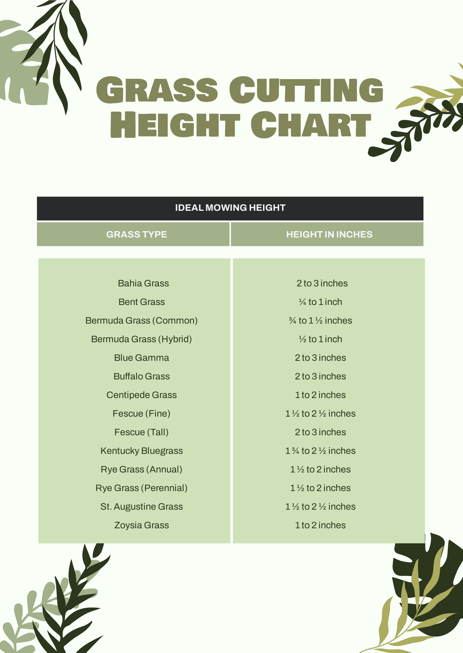 Height Chart Template - Edit Online & Download Example | Template.net