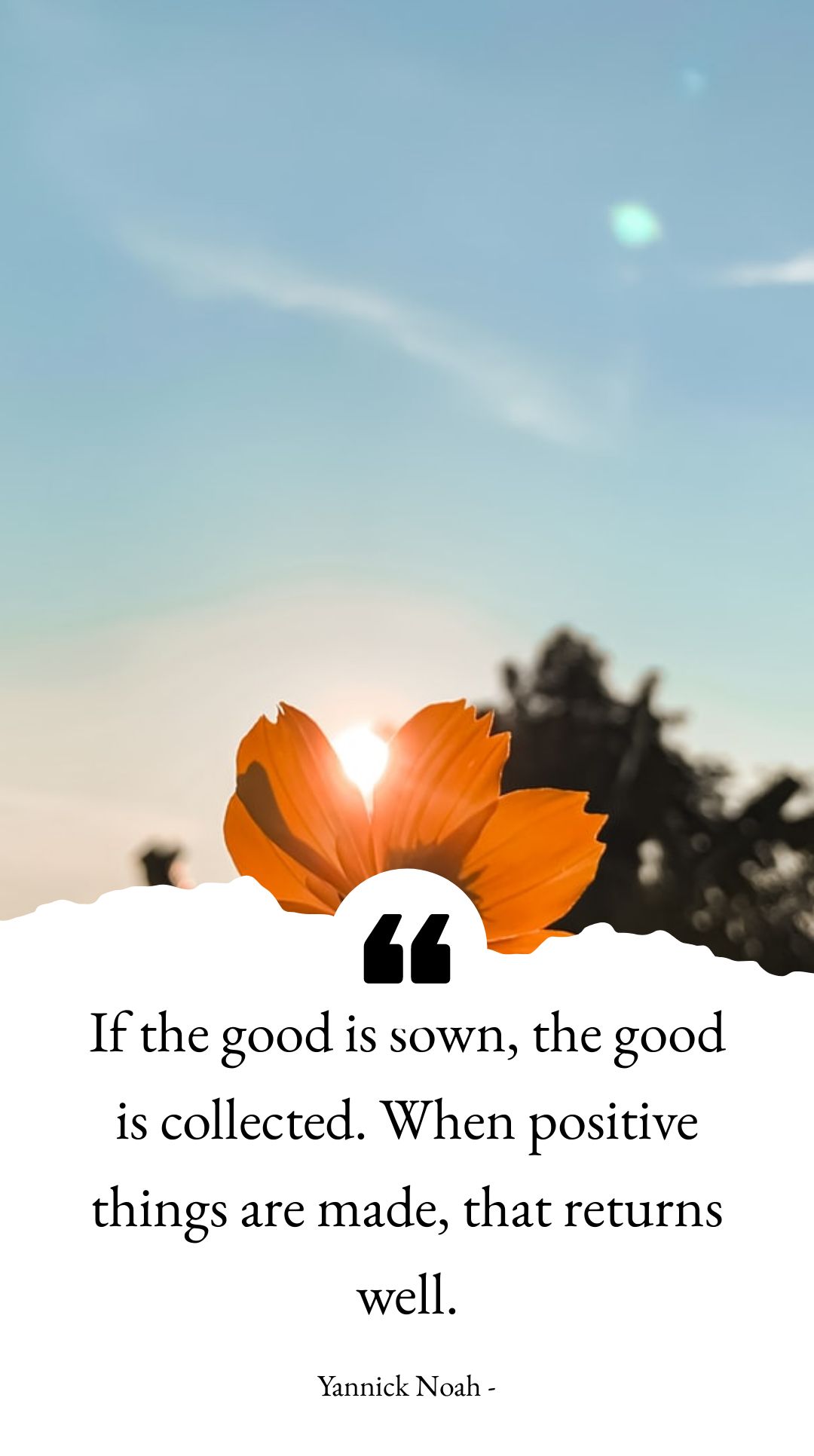 Jimi Hendrix - Knowledge speaks, but wisdom listens. Template - Edit ...