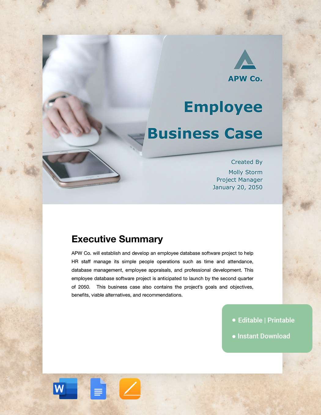 Employee Business Case Template Google Docs Word Apple Pages 