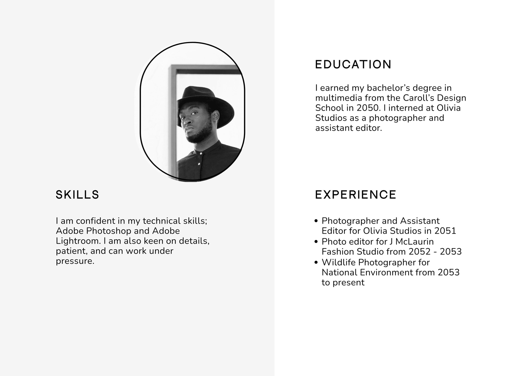 Career Portfolio Templates In PSD InDesign Word Publisher Download