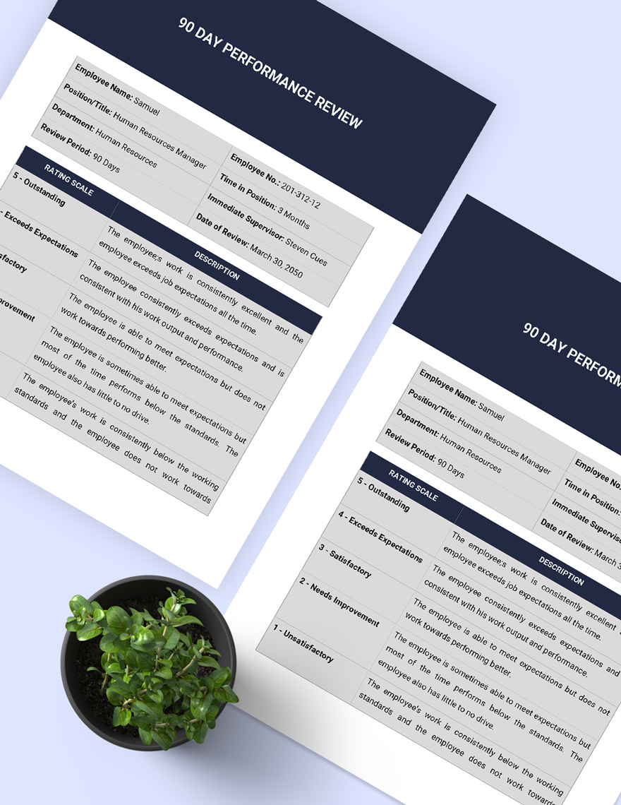 Free 90 Day Performance Review Template - Google Docs, Word | Template.net