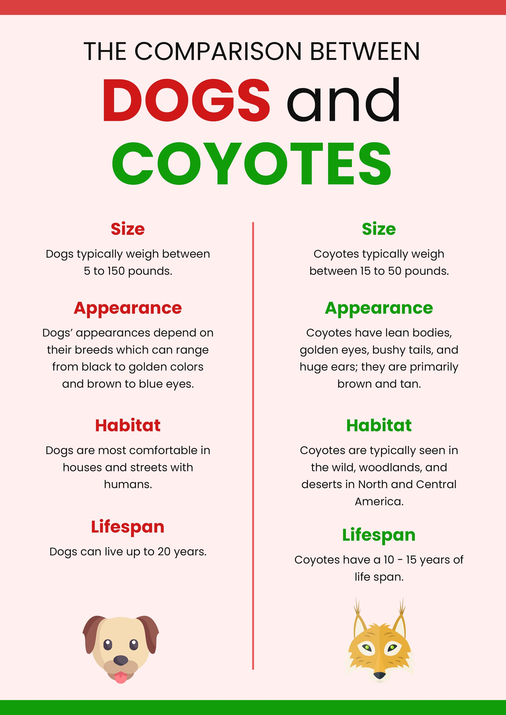 Digital Marketing Services Infographic Google Docs Illustrator Word 