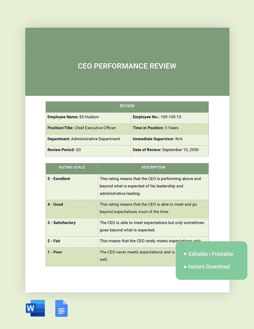 CEO Performance Review Template Download In Word Google Docs 