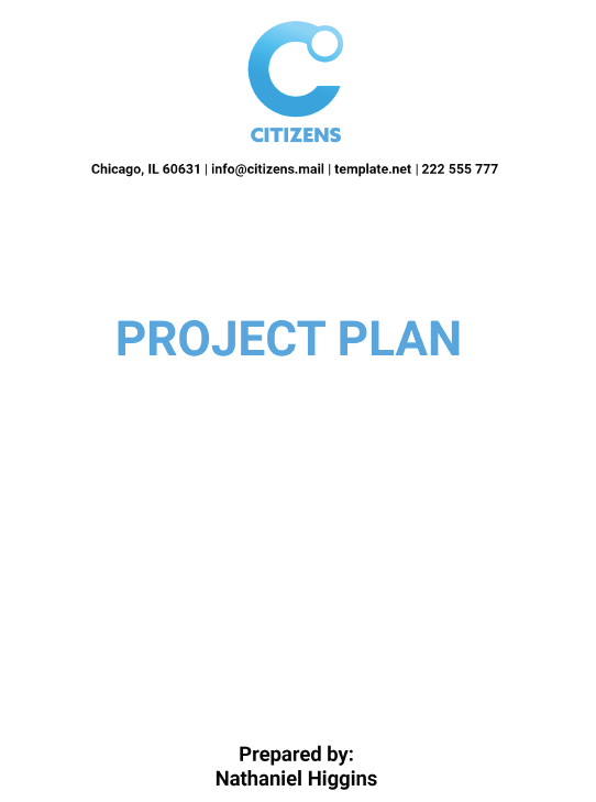 Free Project Plan Generator: Create Online | Template.net