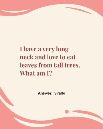 Free Logic Riddle Template to Edit Online