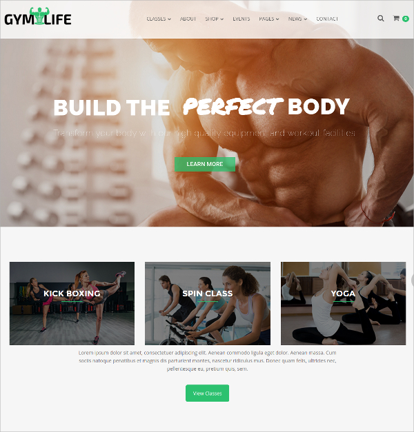 27+ Gym & Fitness Website Themes & Templates