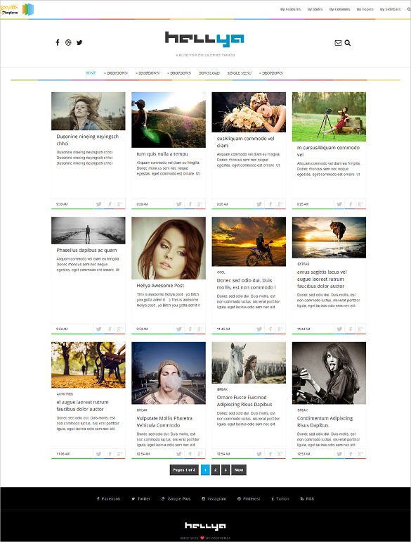 31+ Photography Blog Themes & Templates