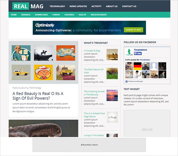 39+ Professional Blog Themes & Templates