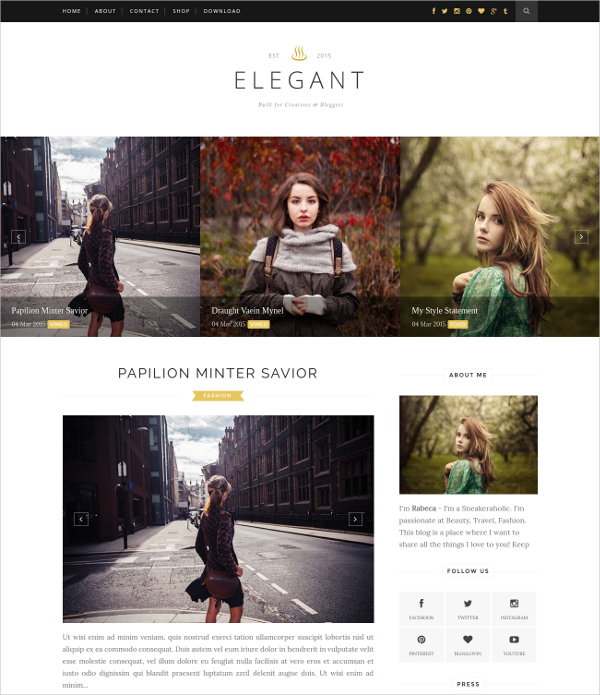 17+ Free Blog Templates & Themes