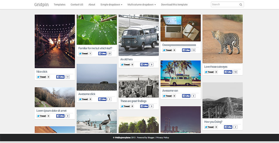 31+ Photography Blog Themes & Templates