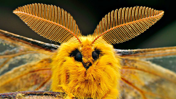 102+ Creative And Funny Desktop Backgrounds to Customize your Desktop