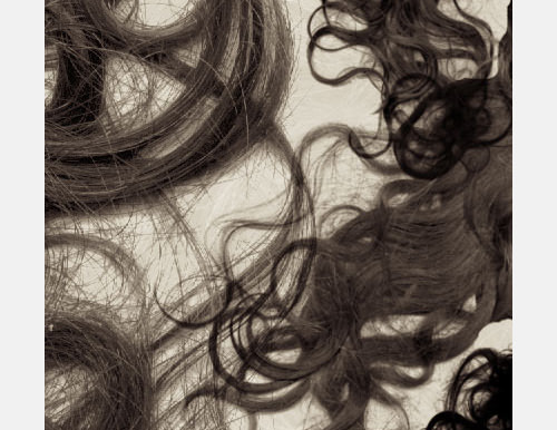 37+ Photoshop Hair Texture Brushes - PSD, AI, Vector, EPS