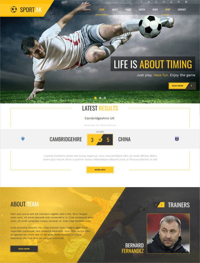 28+ Soccer Club Website Themes & Templates