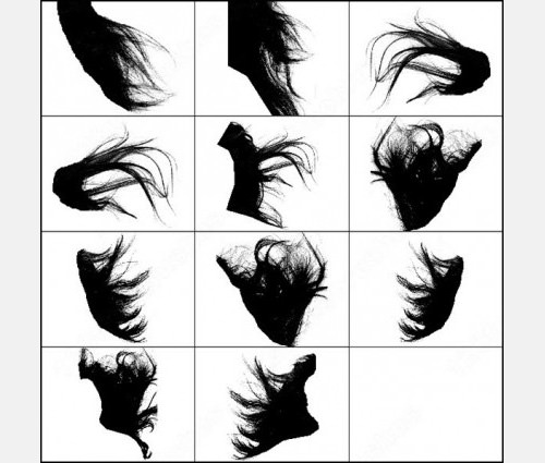 37+ Photoshop Hair Texture Brushes - PSD, AI, Vector, EPS