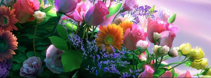 32+ Facebook Cover Pages & Backgrounds