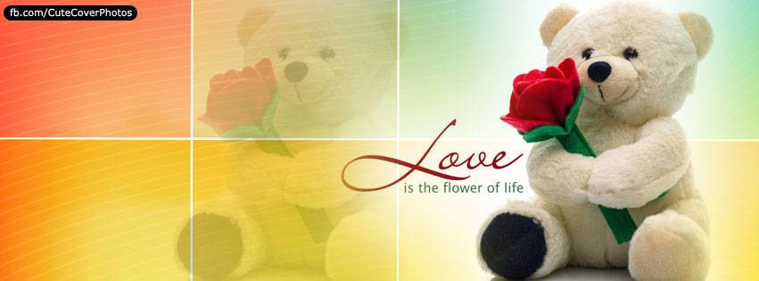 32+ Facebook Cover Pages & Backgrounds
