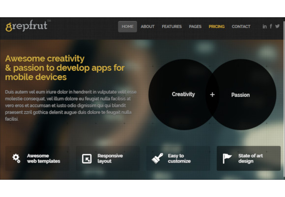 13+ Facebook Page Templates for Business