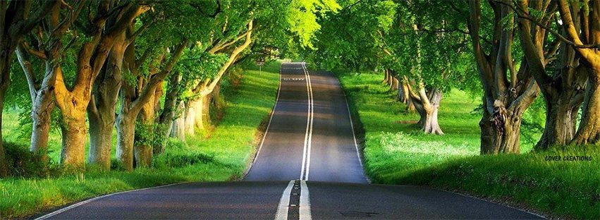 32+ Facebook Cover Pages & Backgrounds