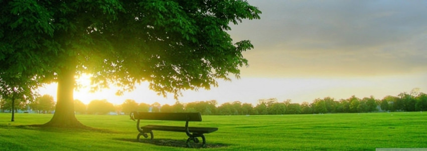 32+ Facebook Cover Pages & Backgrounds