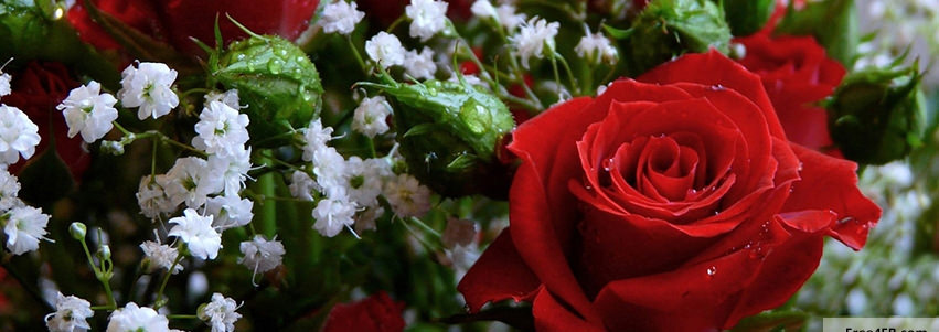 32+ Facebook Cover Pages & Backgrounds