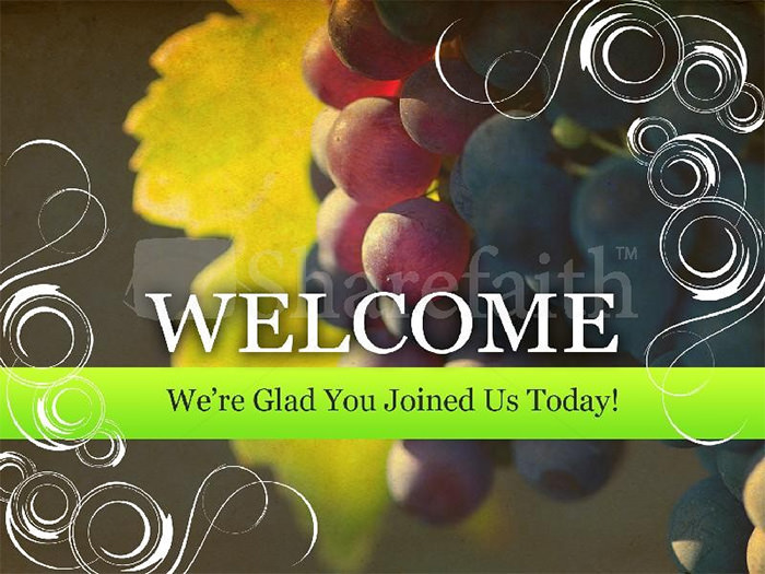 48+ Free Powerpoint Backgrounds