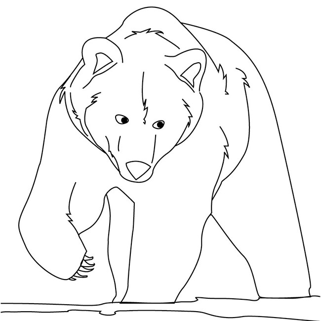 Bear Template - Animal Templates