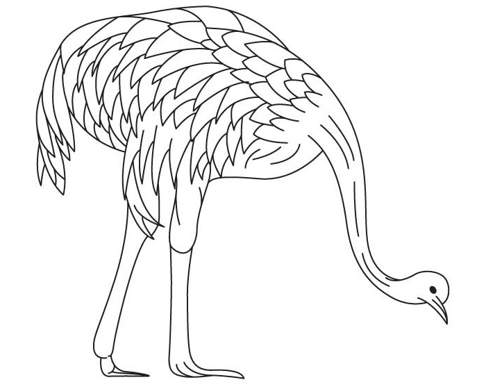 Australian Animal Template - Animal Templates