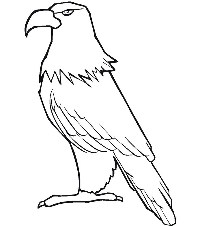 Eagle Template - Animal Templates