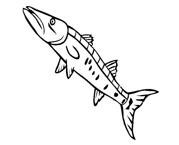 71+ Sea Creature Templates - Printable Crafts & Colouring Pages!