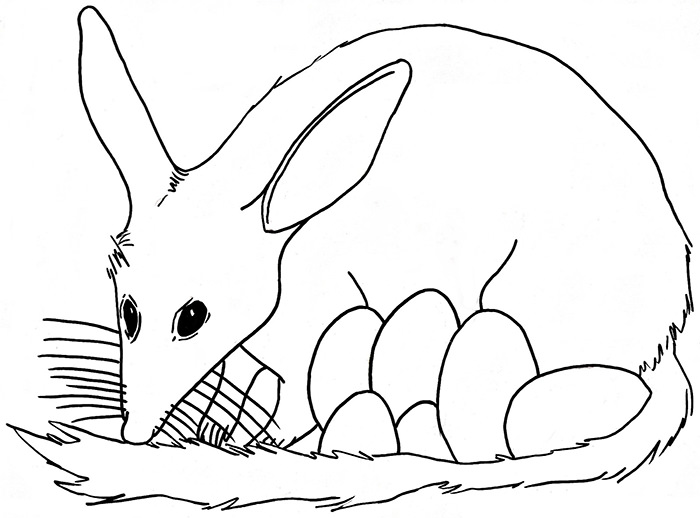 Australian Animal Template - Animal Templates | Free & Premium Templates