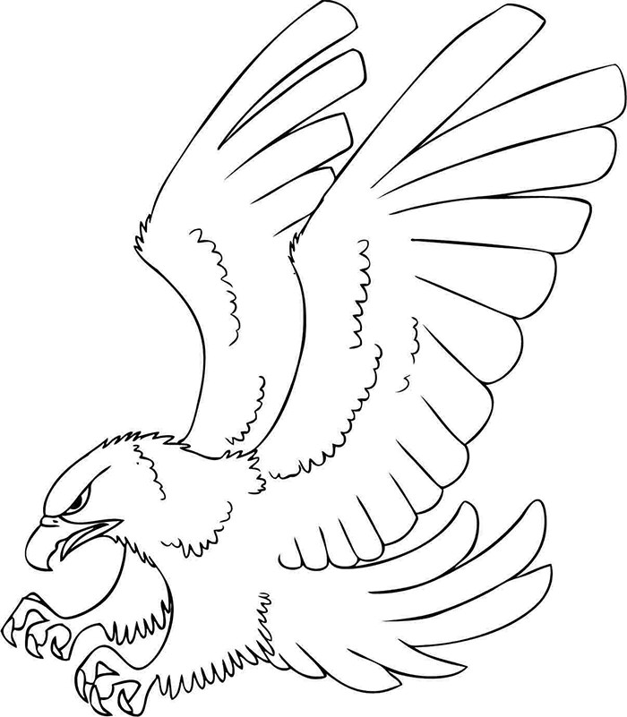 Eagle Template - Animal Templates