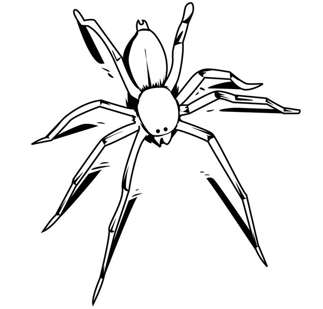 Spider Shape Template - 56+ Crafts & Colouring Pages