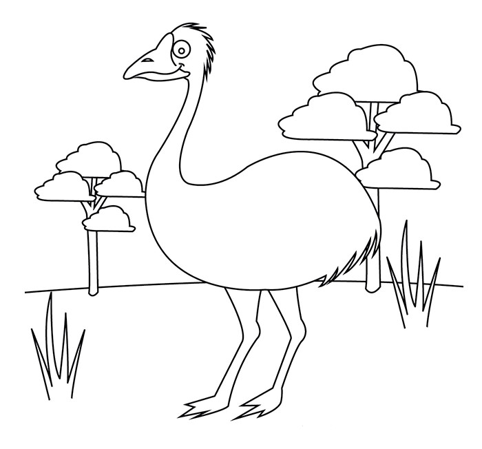 Australian Animal Template - Animal Templates