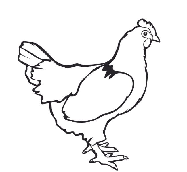Chicken Template - Animal Templates