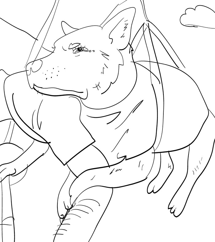 Australian Animal Template - Animal Templates