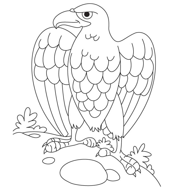 Eagle Template - Animal Templates