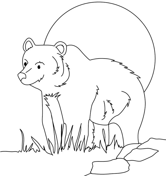 Bear Template - Animal Templates