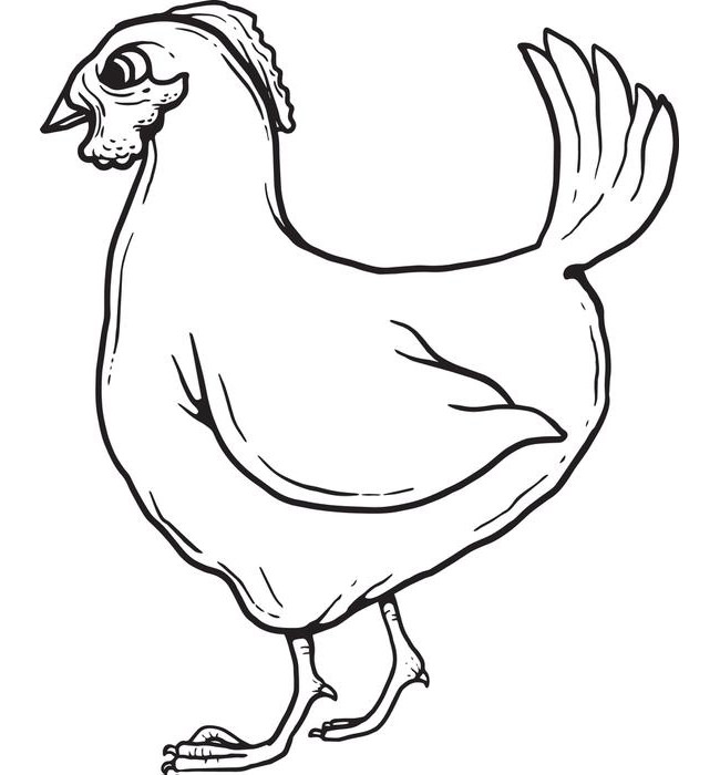 Chicken Template - Animal Templates