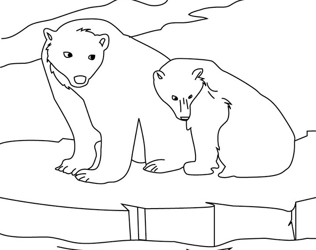 Bear Template - Animal Templates