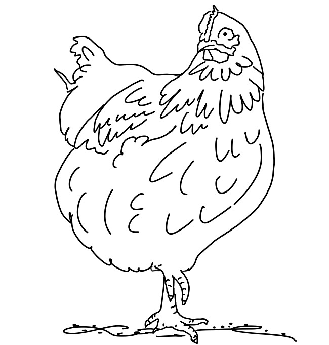 Chicken Template - Animal Templates