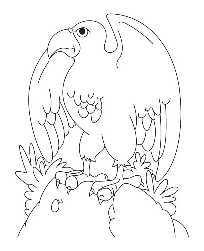 Eagle Template - Animal Templates