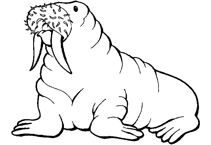 71+ Sea Creature Templates - Printable Crafts & Colouring Pages!