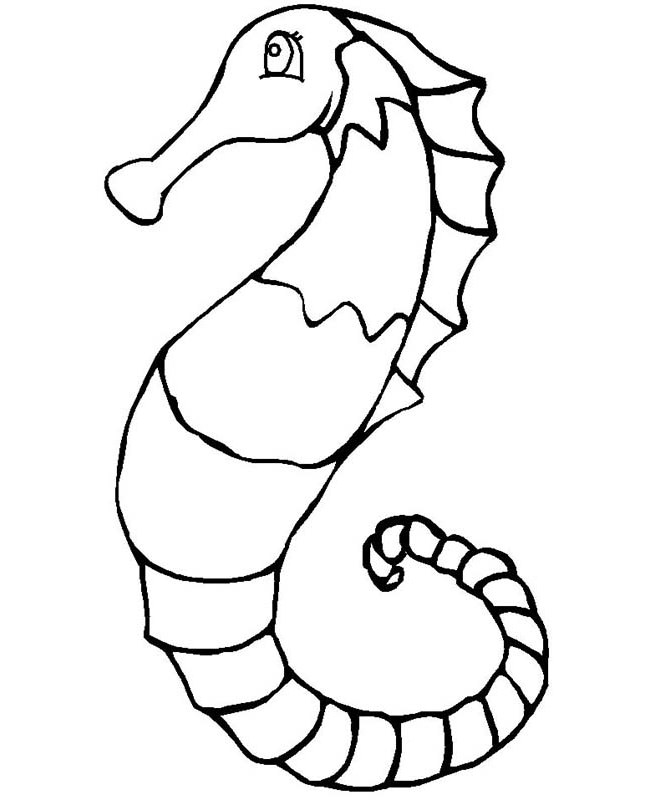 41+ Seahorse Shape Templates, Crafts & Colouring Pages