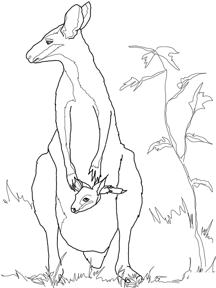 Australian Animal Template - Animal Templates
