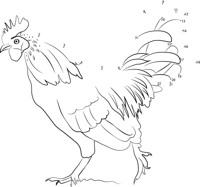 Chicken Template - Animal Templates
